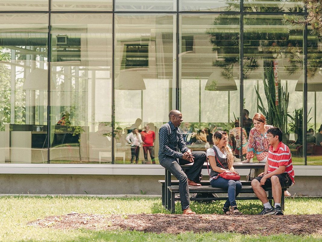 Peter Gilgan Foundation increases its support for Seneca Y2P program ...